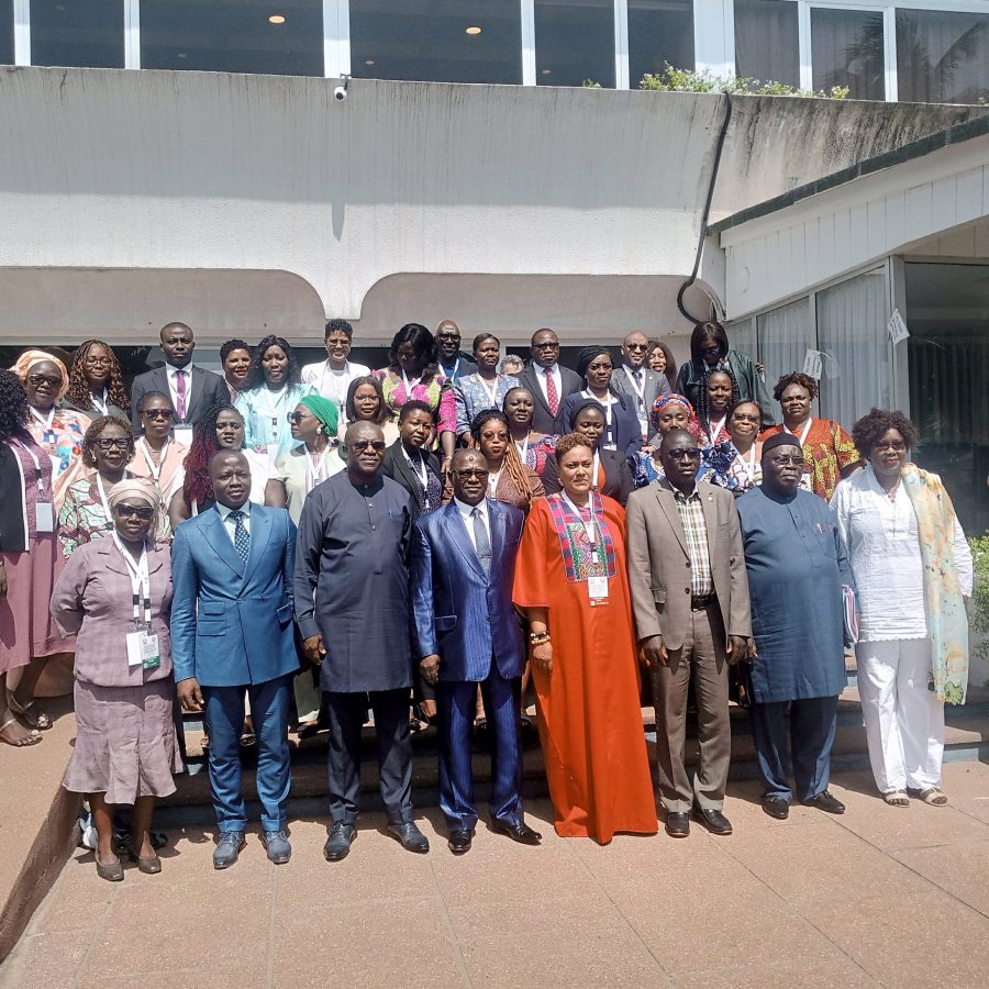 Criminalité économique et financière transnationale organisée en ...